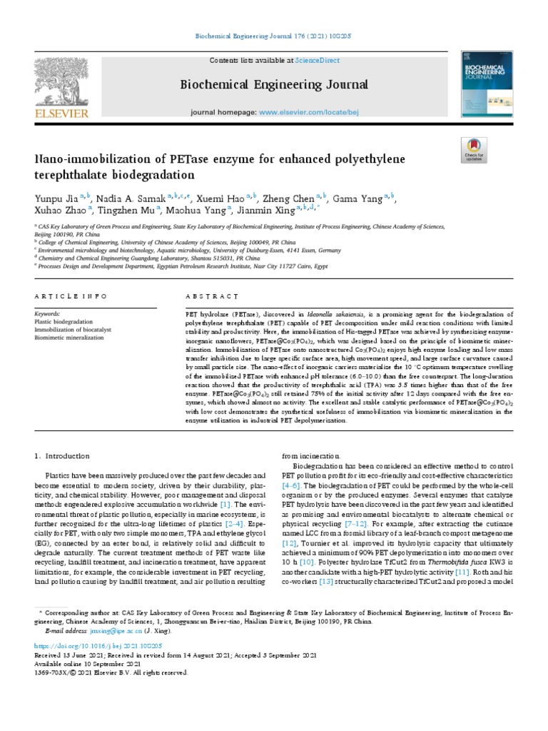 Biochemical Engineering Journal | PDF | Protein Purification | Enzyme