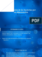 QUIMIOTROFOS | PDF | Sustancias químicas | Biología
