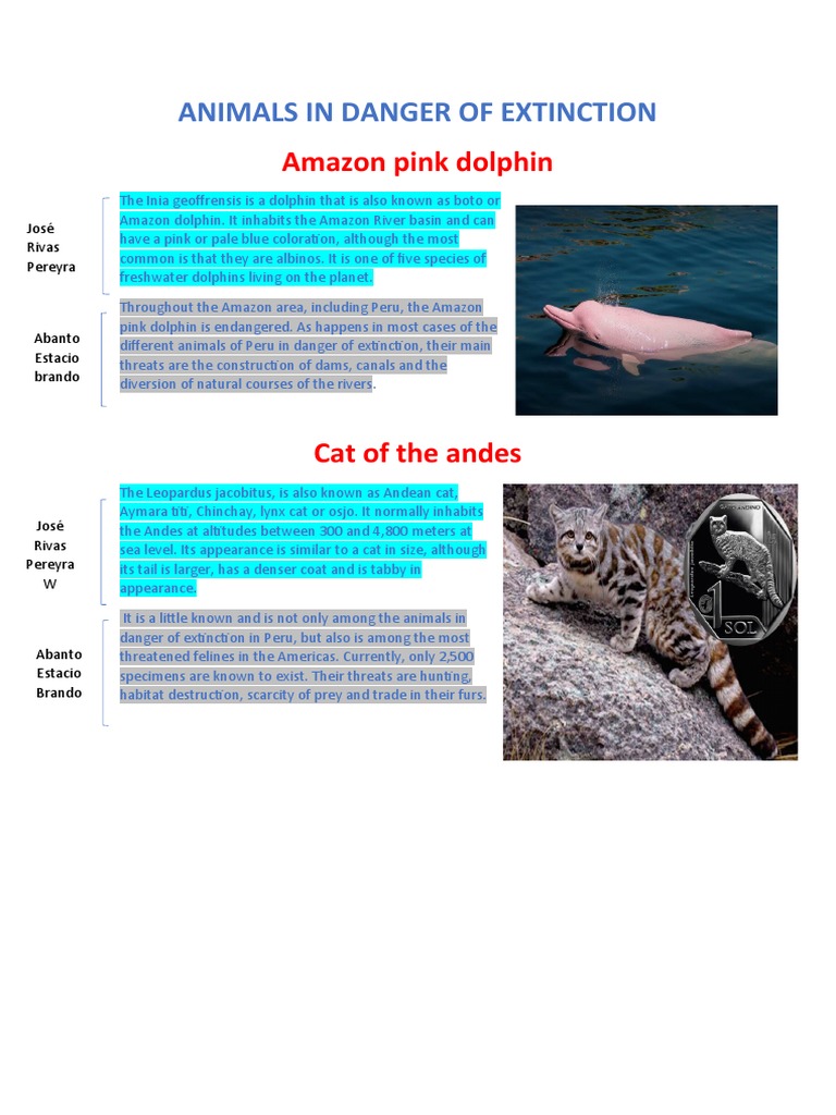 Animals in Danger of Extinction | PDF