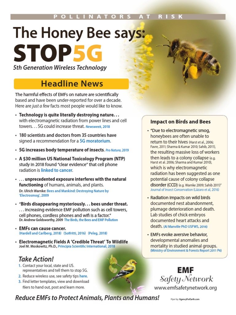 Honey Bee Says STOP 5G | PDF | Honey Bee
