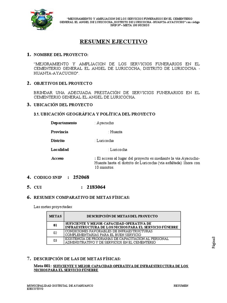 01 Resumen Ejecutivo | PDF