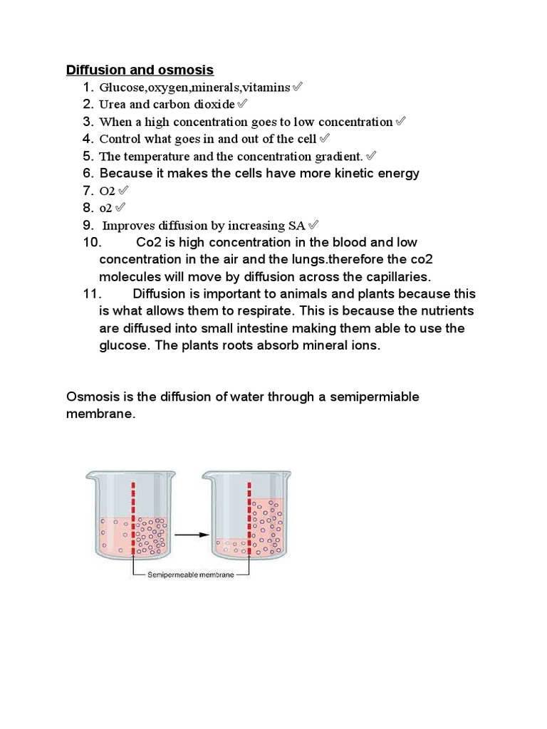 Diffusion and Osmosis+practical | PDF | Osmosis | Diffusion