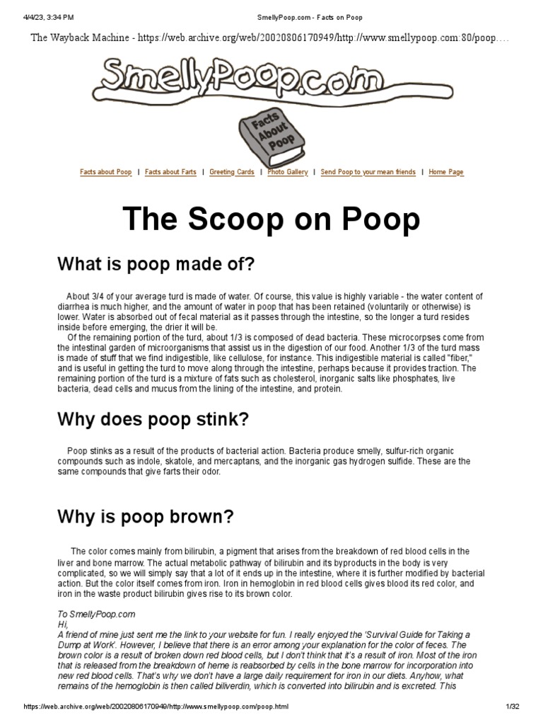 Poop Facts for the Curious Mind | PDF | Gastroenterology | Digestive System