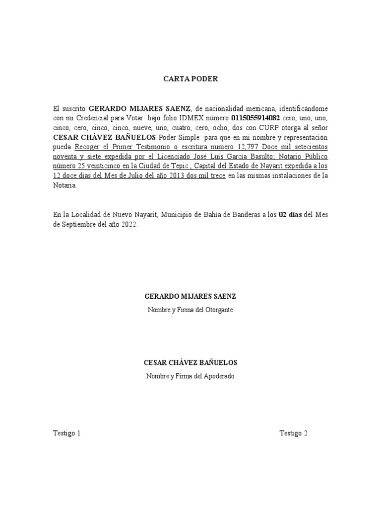 Carta Poder Simple | PDF