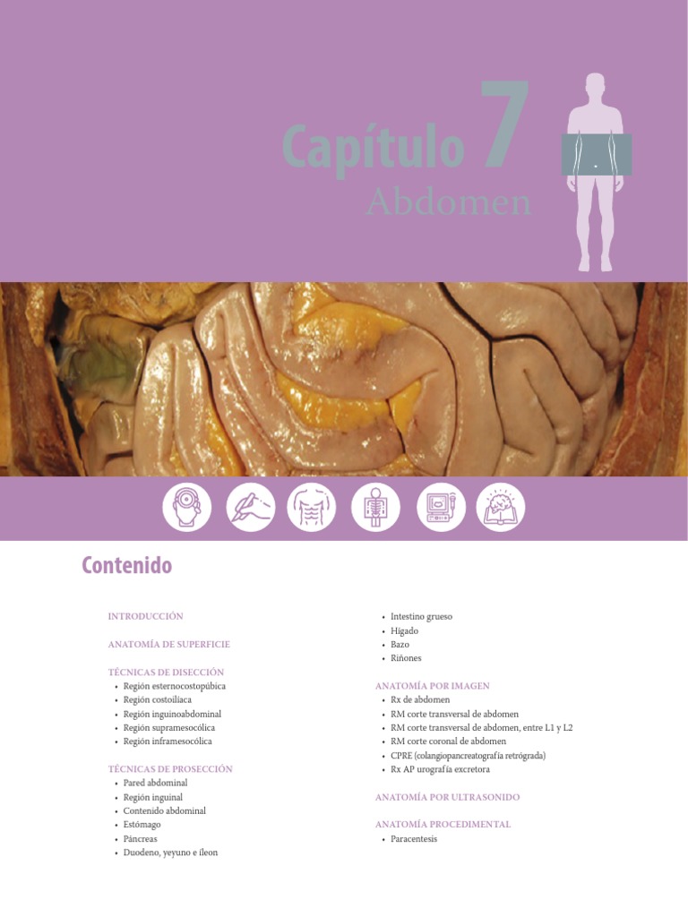 Cap07-Ejercicios Resueltos | PDF | Abdomen | Intestino grueso