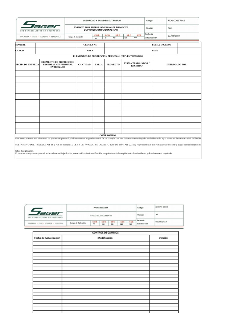 Formato de Entrega de EPP Individual | PDF