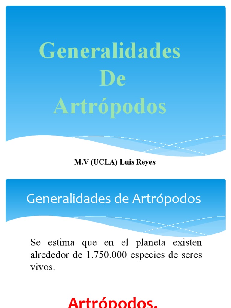 Clases Nuevas de Parasito | PDF | Mosca | Insectos
