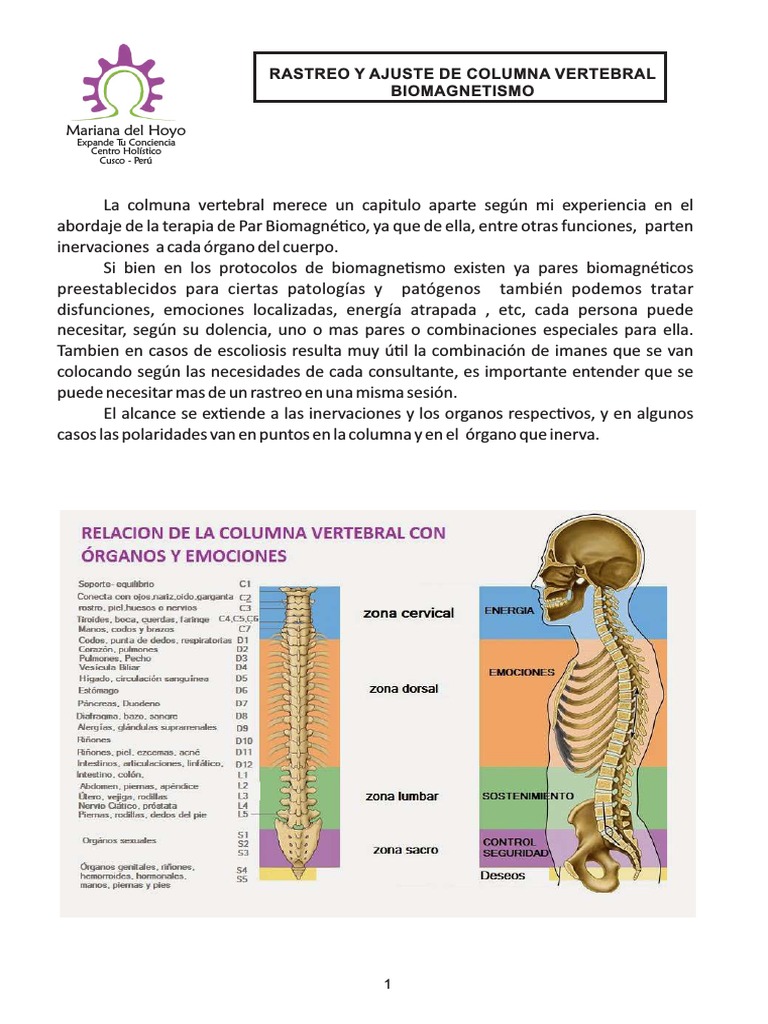 Biomagnetismo y Columna Vertebral | PDF | La columna vertebral | Vértebra