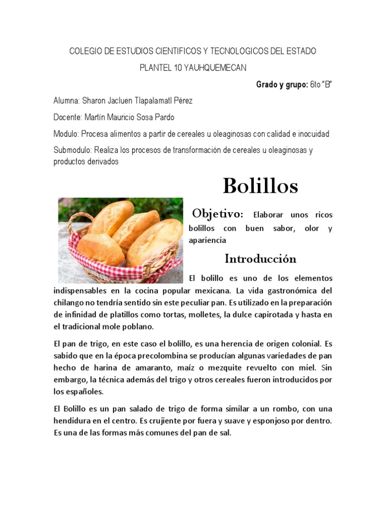 Bolillos - Tlapalamatl Sharon | PDF | Panes | Alimentos basicos