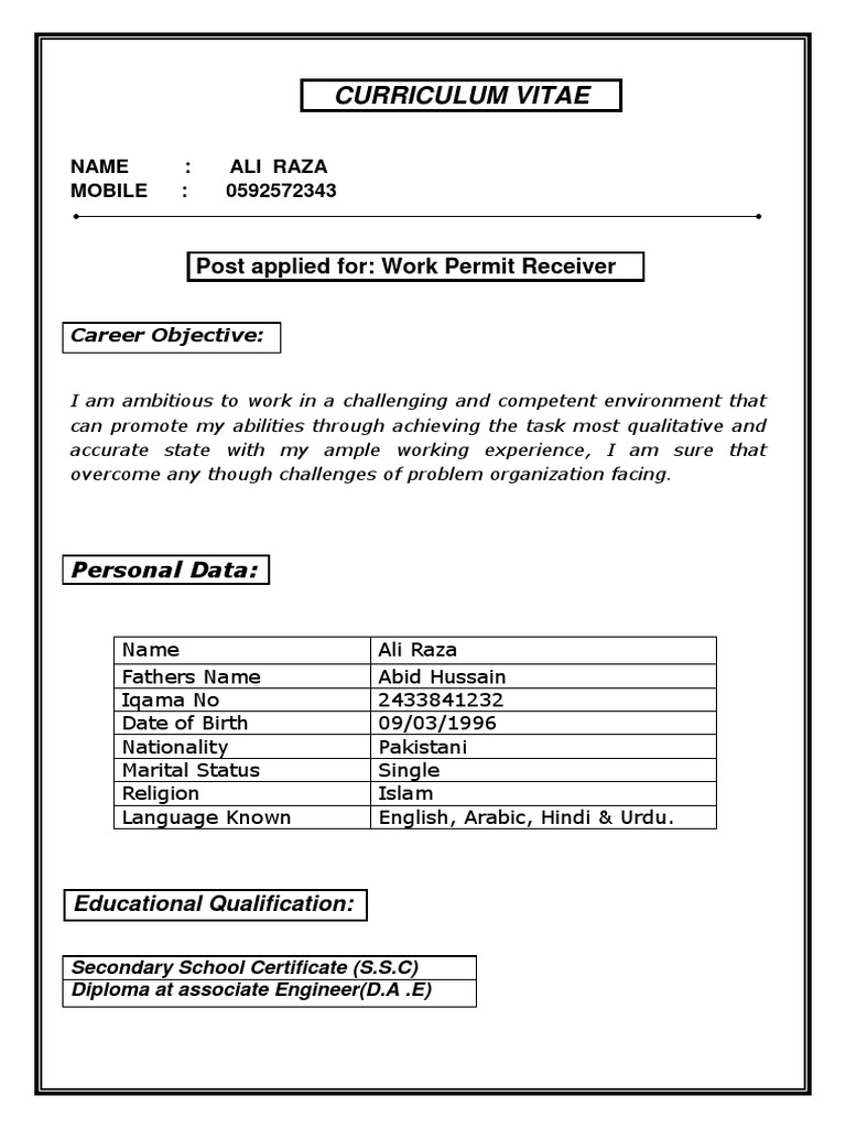Work Permit Receiver CV of Ali Raza | PDF