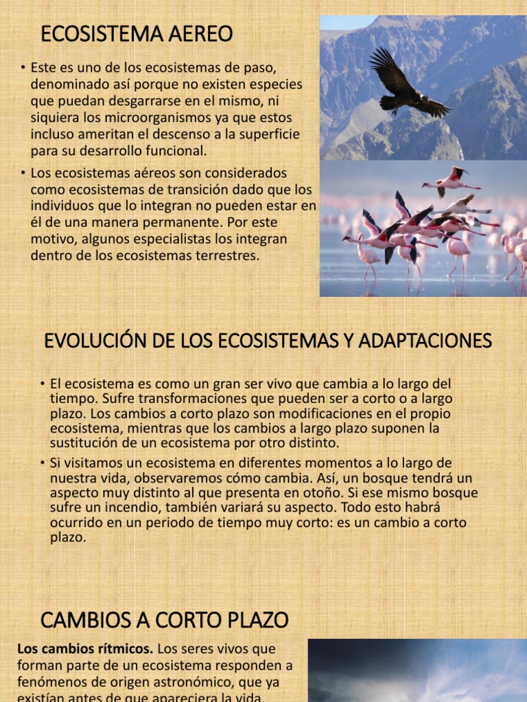 Características del Ecosistema Aéreo | PDF | El niño | Ecosistema