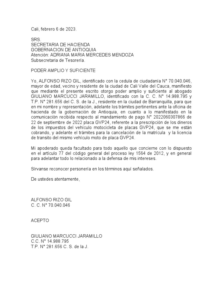 Poder Amplio y Suficiente (Alfonso Rizo) | PDF