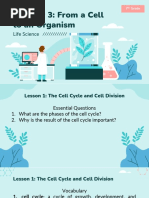 Ch.1 Lesson 2 Key Concept Builder WITH ANSWERS | PDF | Taxa | Organisms