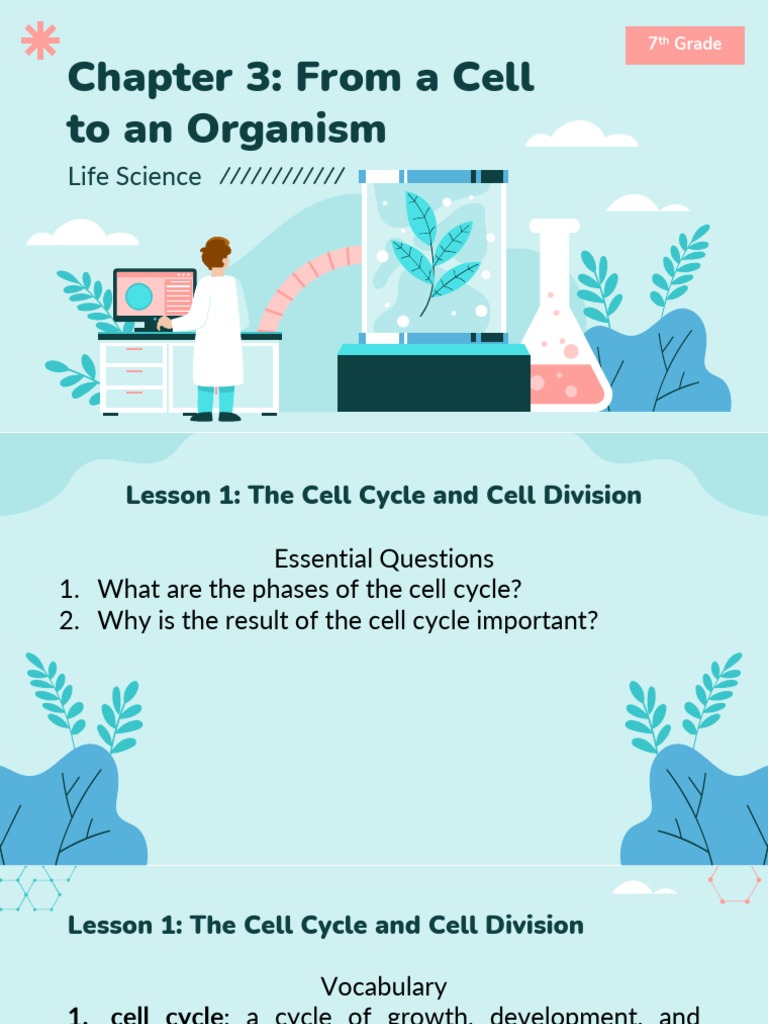 Life Chapter 3 From A Cell To An Organism | PDF | Cell (Biology) | Tissue (Biology)