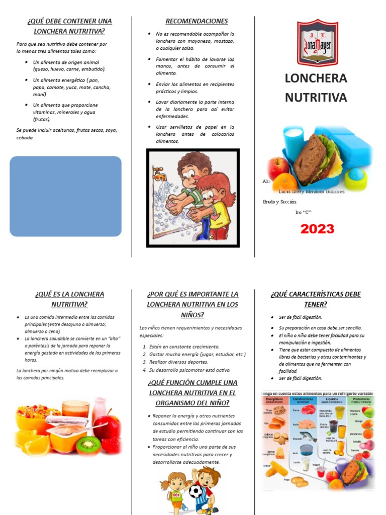 Triptico Lonchera Nutritiva | PDF | Alimentos | Nutrición