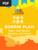 BDRRM LIST OF PPAs | PDF | Emergency Management | Civil Defense