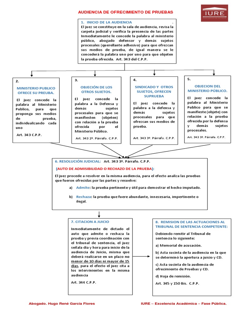 Esquema Audiencia de Ofrecimiento de Pruebas Iure | PDF | Sentencia (ley) | Judicaturas