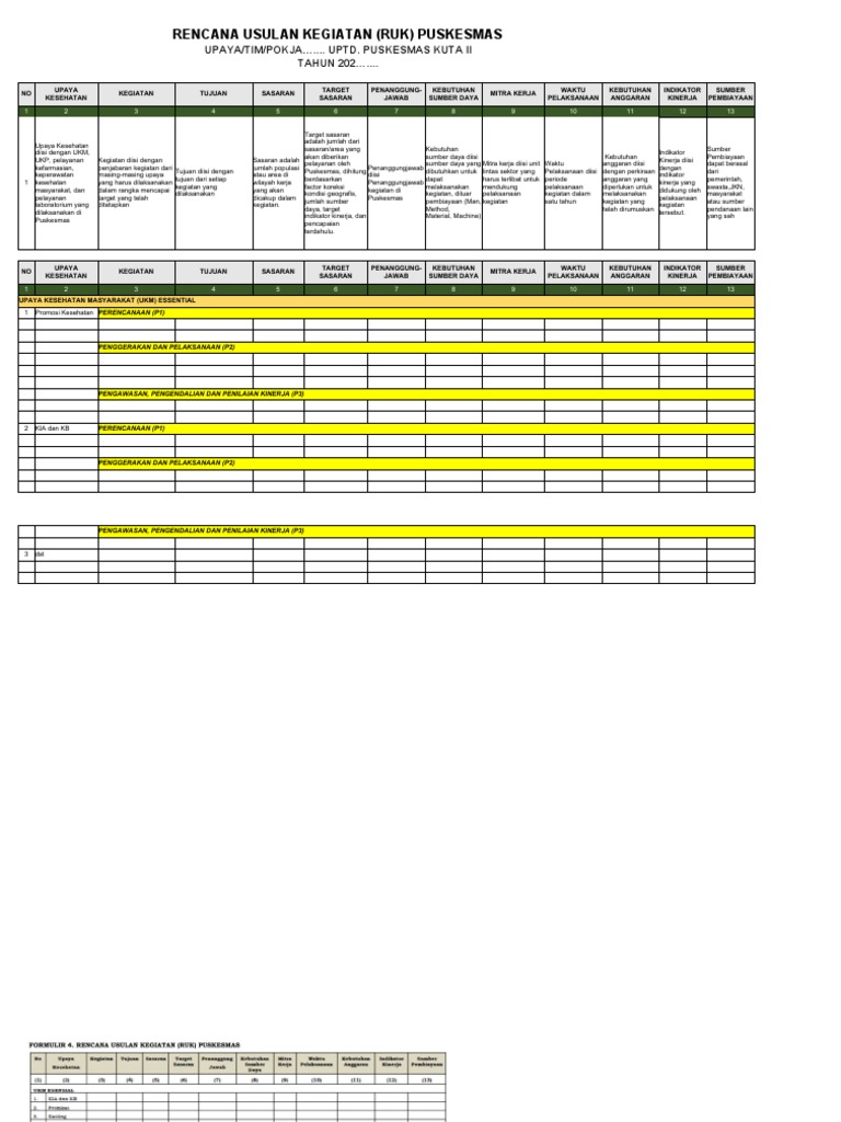 FORMAT RUK - RPK Sesuai PMK 44 Th. 2016 (2023) | PDF