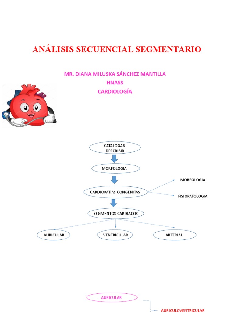 Análisis Secuencial Segmentario | PDF