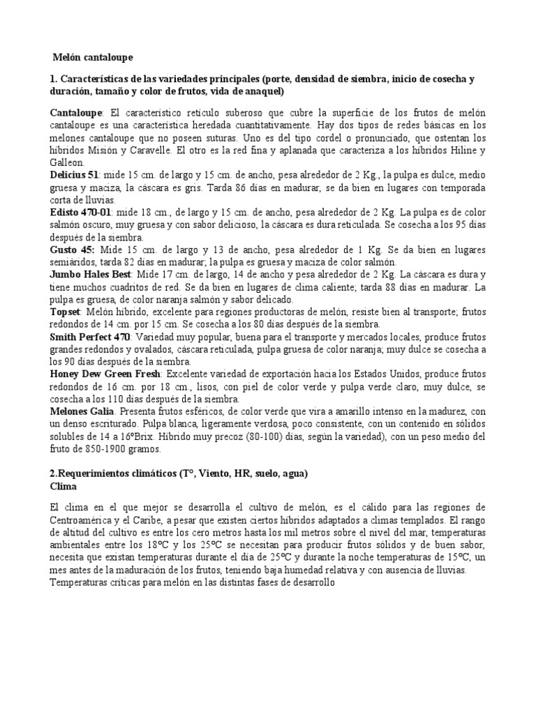 Guía del Melón Cantaloupe: Cultivo y Variedades | PDF | Riego | Hidroponia
