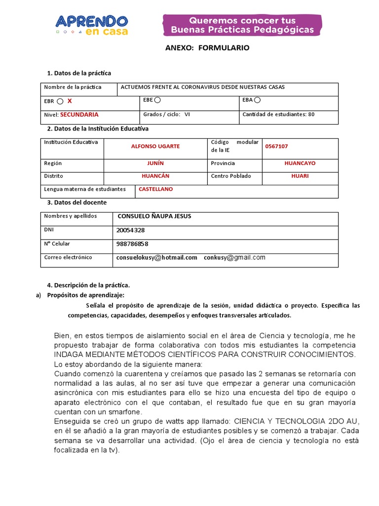MINEDU - FORMULARIO DE BUENA PRÁCTICA | PDF | Aprendizaje | Evaluación