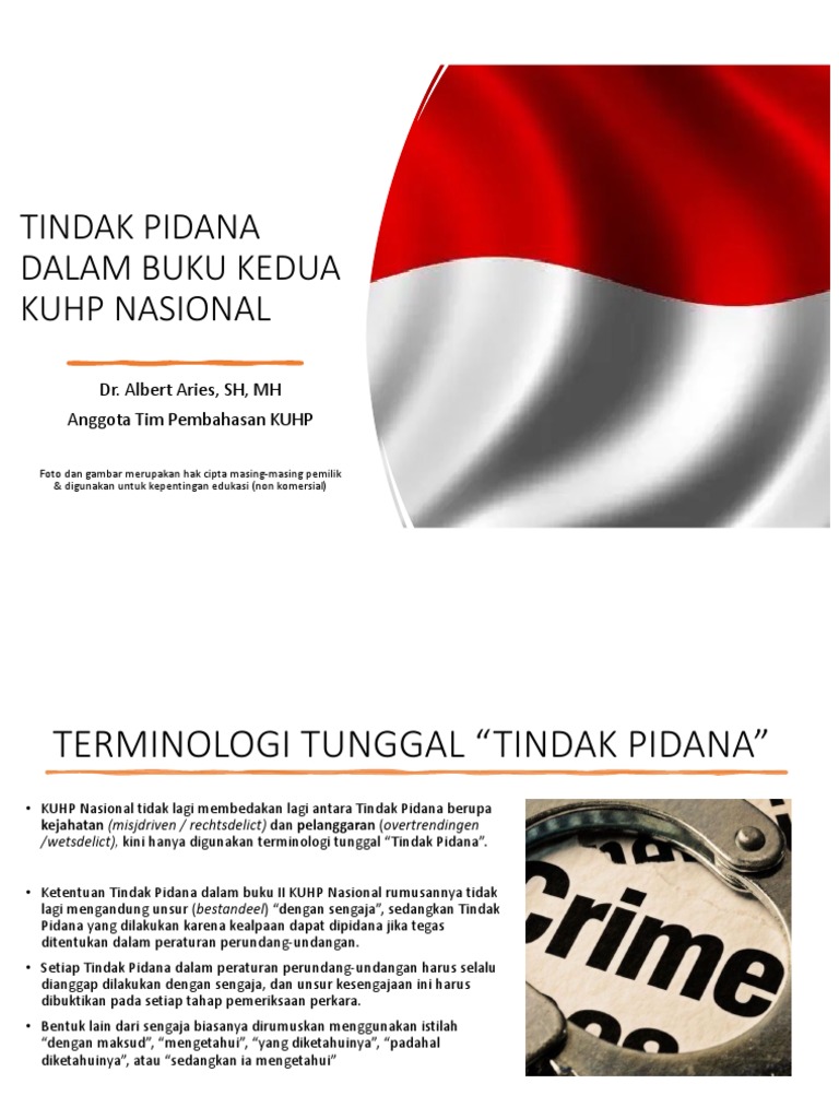 Tindak Pidana Dalam Kuhp Nasional Pdf