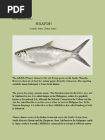 Philippine Fish Market Guide | PDF | Fish And Humans | Fish