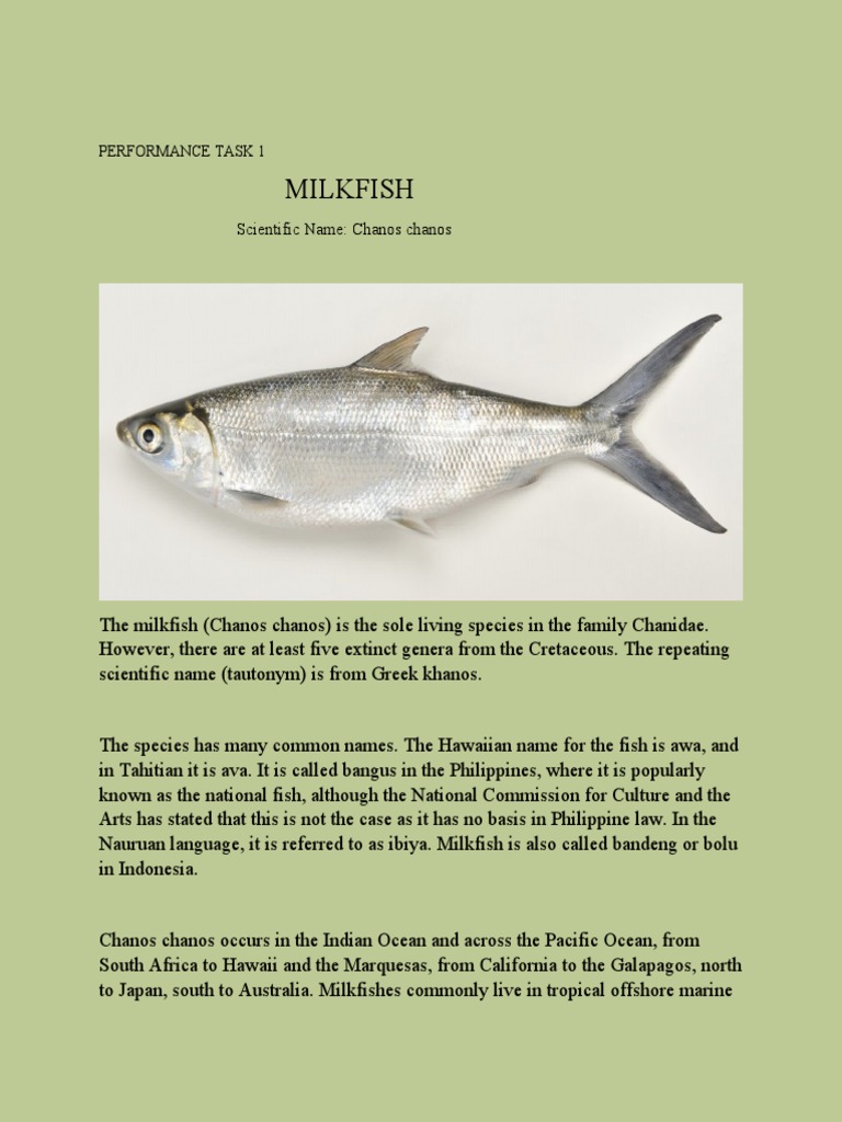 About Fish and Fish Dishes | PDF | Foods