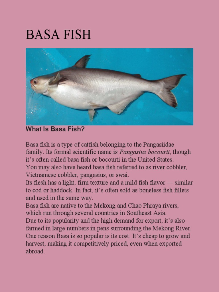 About Fish and Fish Dishes | PDF | Foods | Food Ingredients