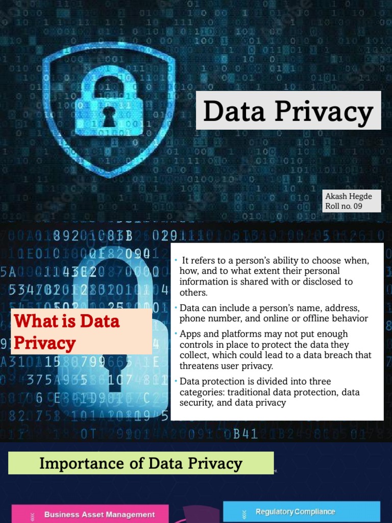 Data Privacy | PDF