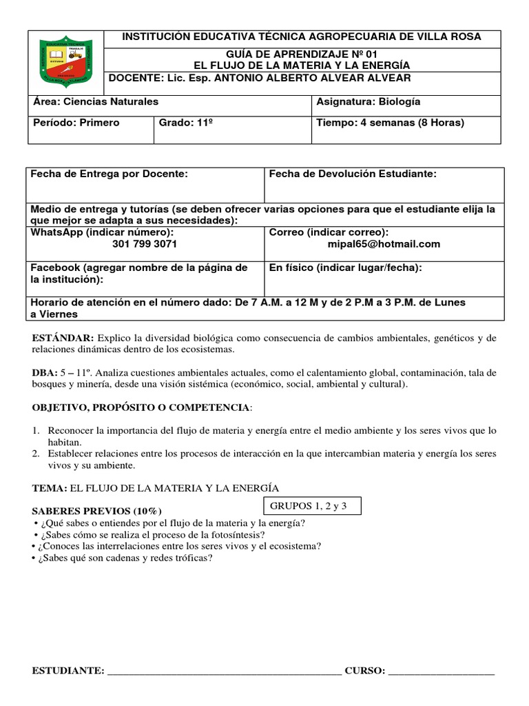 Flujo de Materia y Energía en Ecosistemas | PDF | Plantas | Fotosíntesis