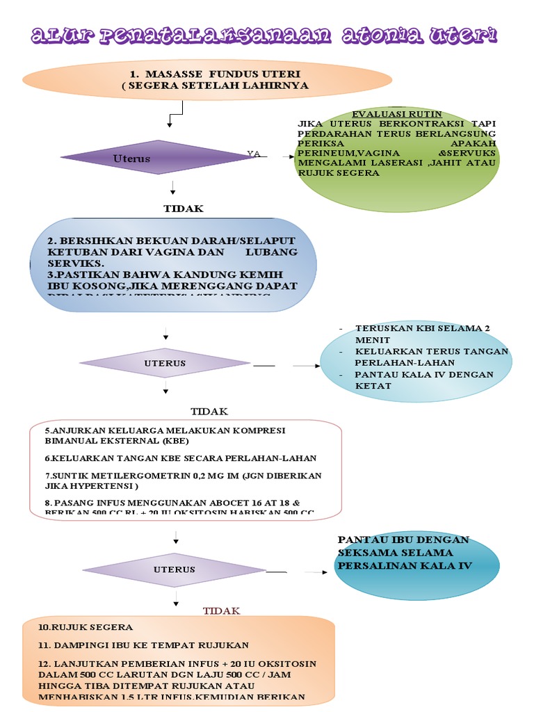 Alur Penatalaksanaan Atonia Uteri | PDF