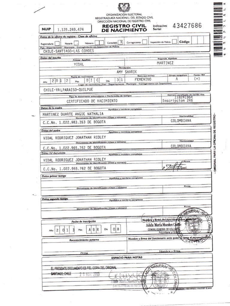 Registro Civil Amy Natha | PDF