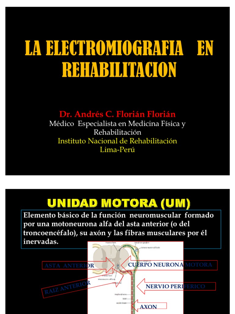 Electromiografia en Rehabilitacion2 | PDF | Electromiografia | Nervio