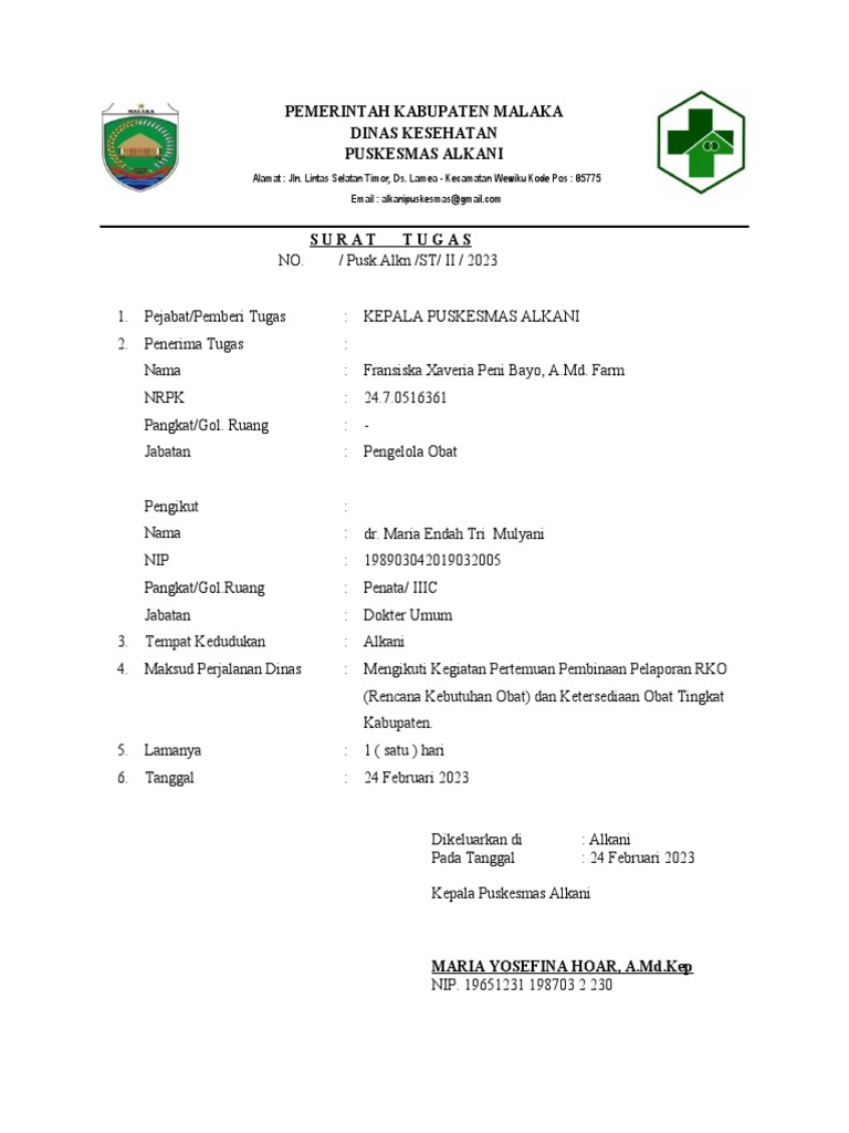 Contoh Format ST Puskesmas Validasi 02 Des 2022 | PDF