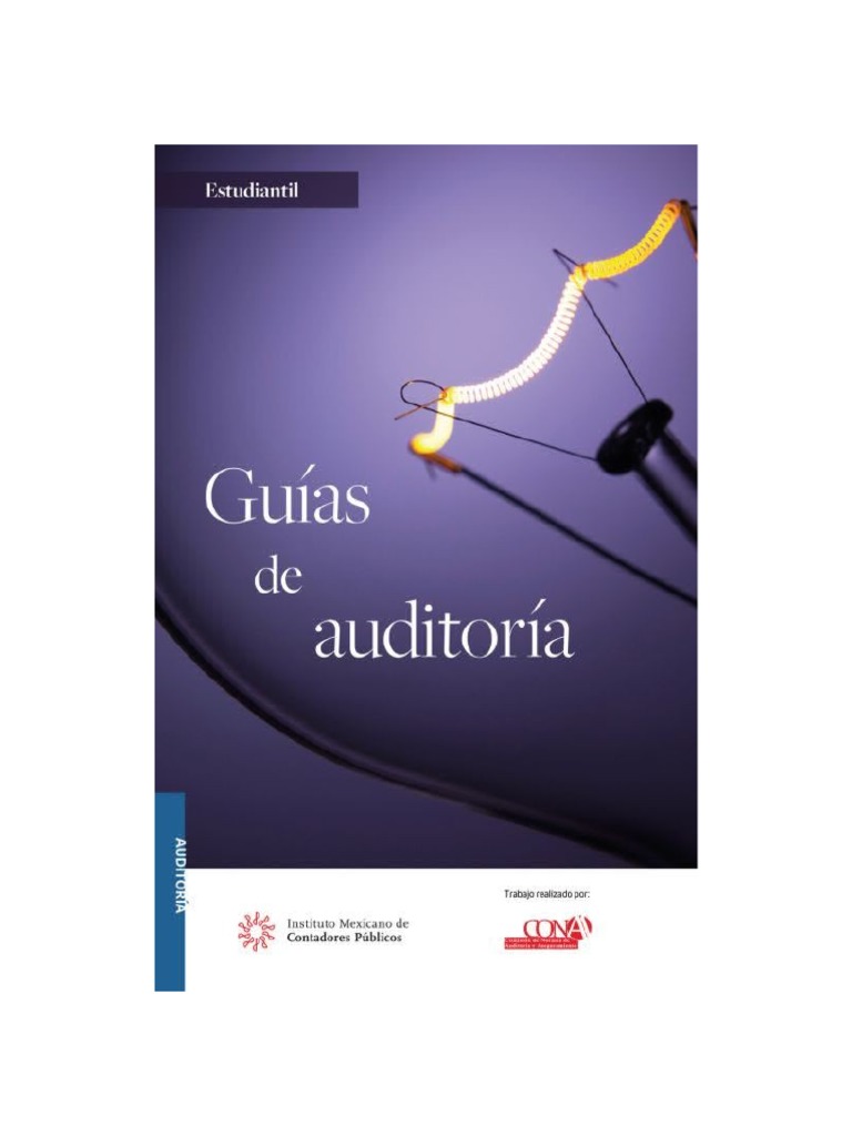 Guías de Auditoria | PDF | Auditoría | Auditoría financiera