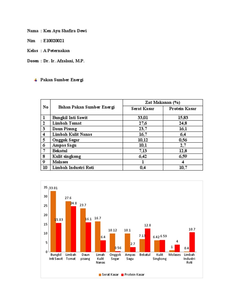 Pakan Sumber Energi dan Protein Peternakan | PDF