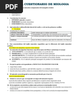 Términos de Lateralidad en Anatomía | PDF | Términos anatómicos de ...
