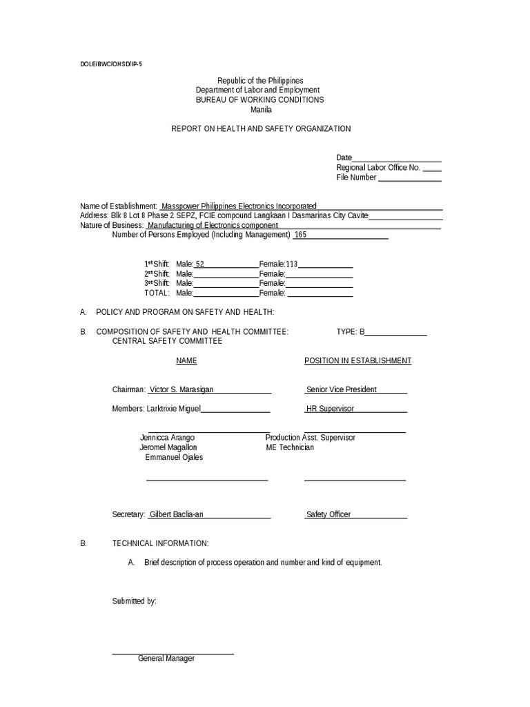 DOLE Form IP-5 Report of Safety Org | PDF