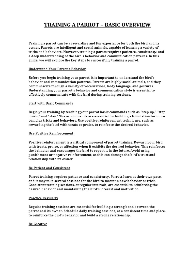 Training A Parrot - Basic Overview | PDF | Reinforcement | Psychological Theories