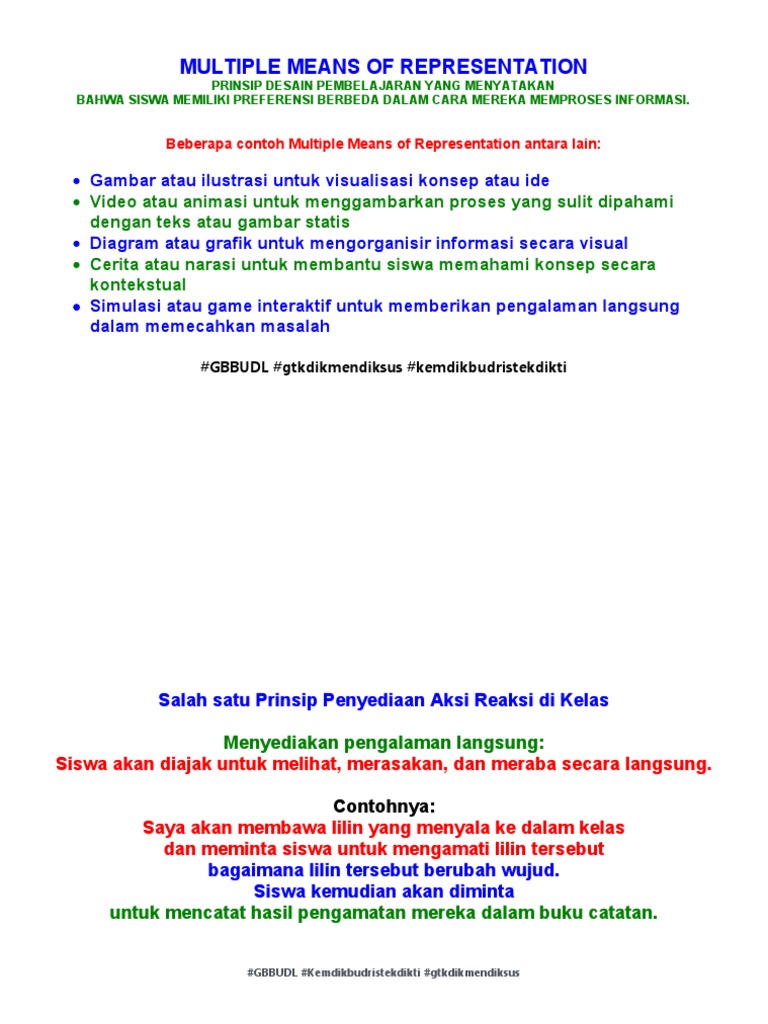 Multiple Means of Representation | PDF