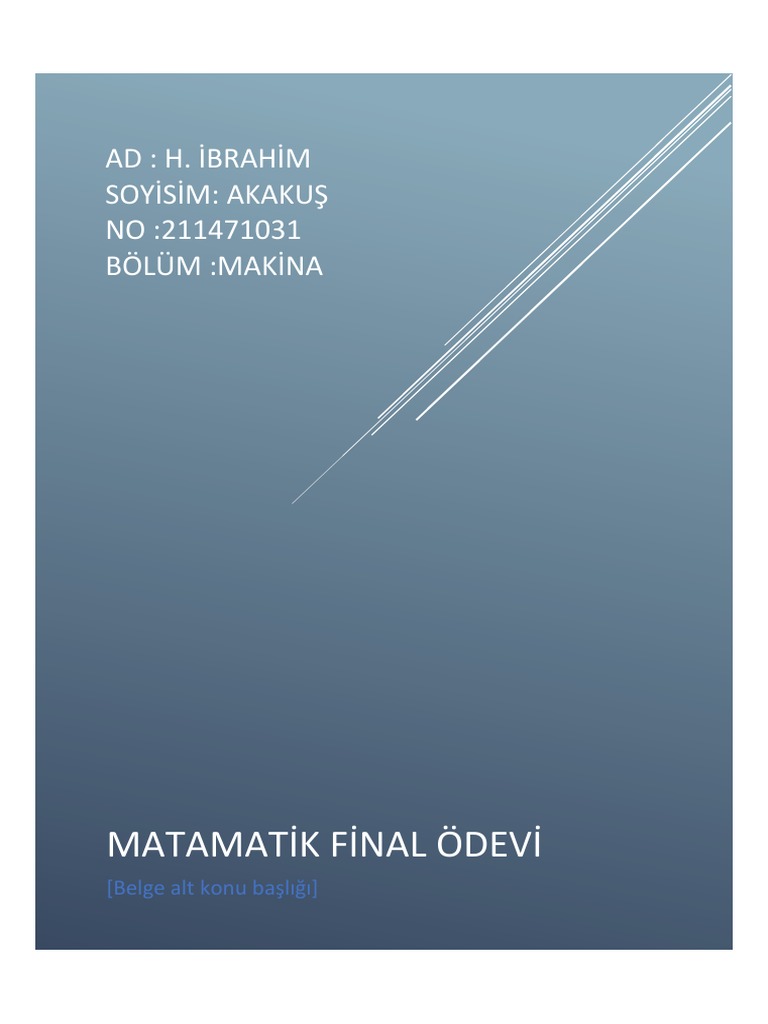 Halil Ibrahim Mat Final Ödevi | PDF