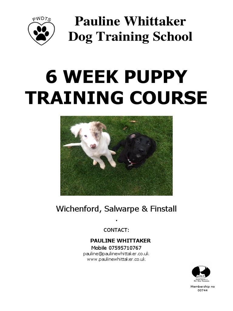 Puppy Introduction Pack | PDF | Dogs | Dog Training