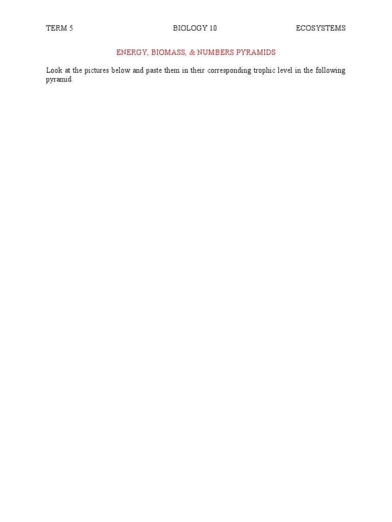 Energy, Biomass, - Numbers Pyramids | PDF