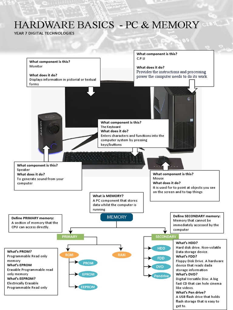 Hardware Basics Worksheets | PDF | Computer Data Storage | Read Only Memory
