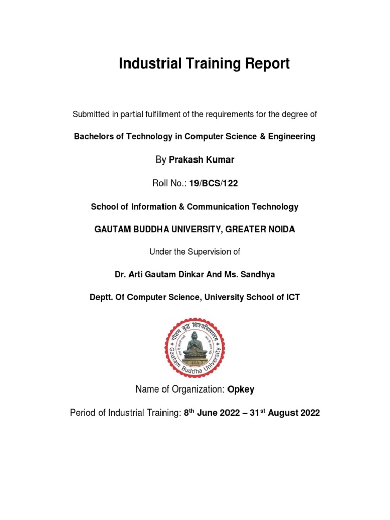 Opkey Industrial Training Report | PDF | Graphic Design | Adobe Illustrator