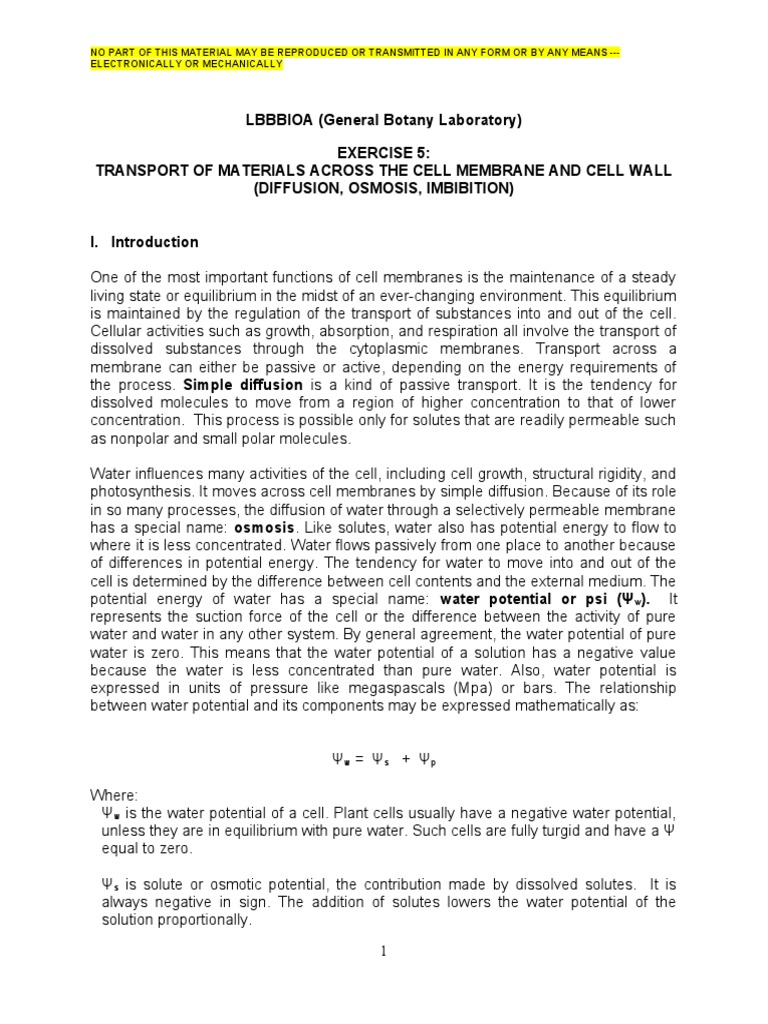 Exercise 5 (F2F Version) Transport of Materials (Worksheet) - Rev 2 ...