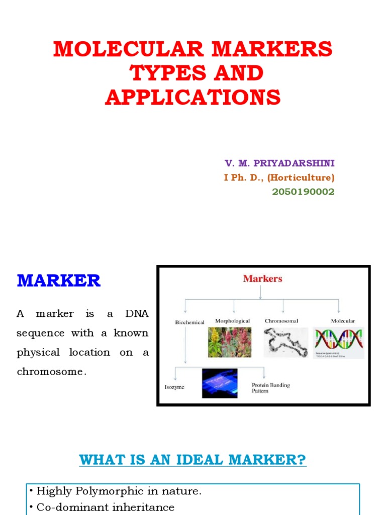 Molecular Markers Types and Applications: V. M. Priyadarshini | PDF ...