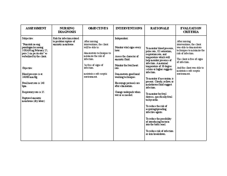 Nursing Care Plan - PROM | PDF | Physiology | Health Care
