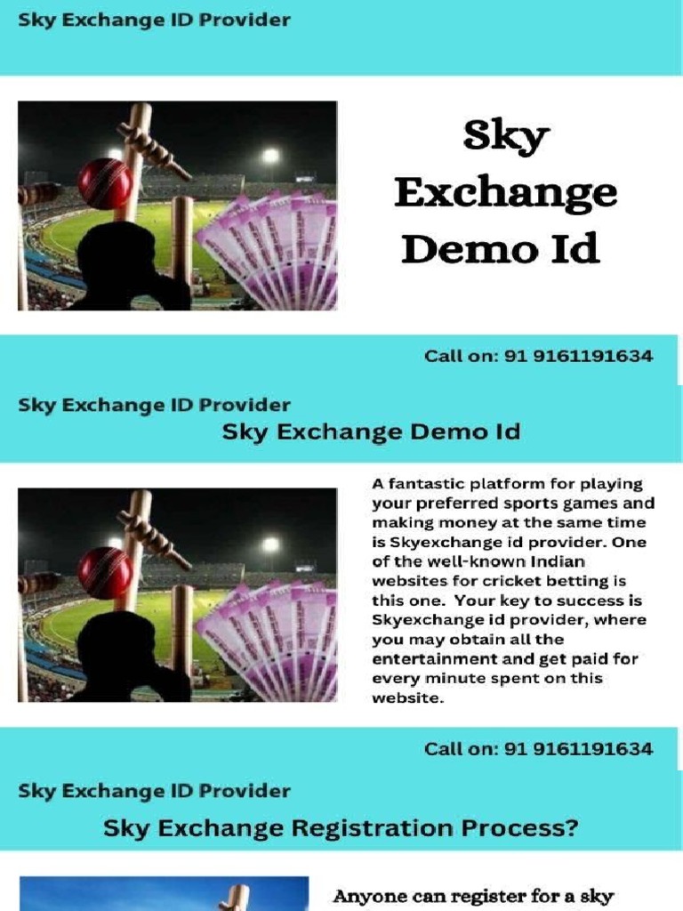 Sky Exchange PP T | PDF